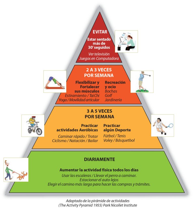 La pirámide de actividad física – DIAPREM