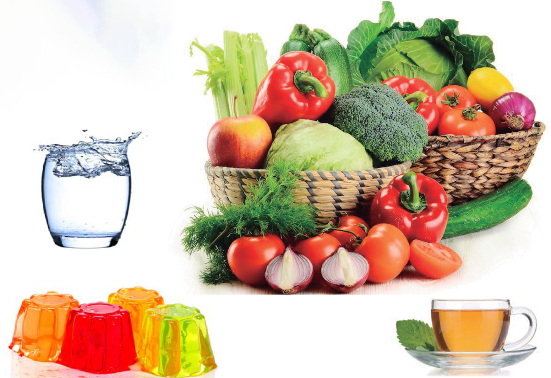 Reconociendo los alimentos – DIAPREM